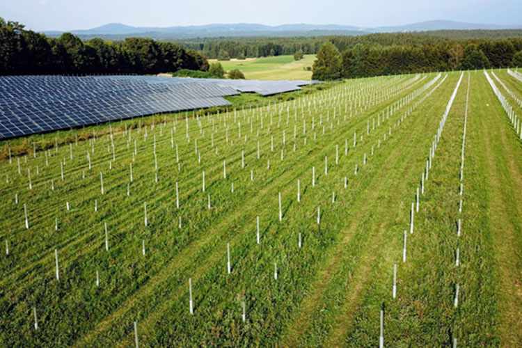 Solar module prices will stay high until 2023, IHS Markit says ...