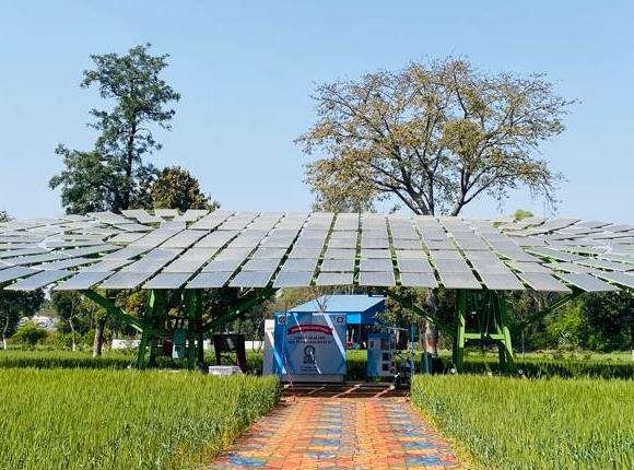 World’s largest solar tree record smashed - angelssolar