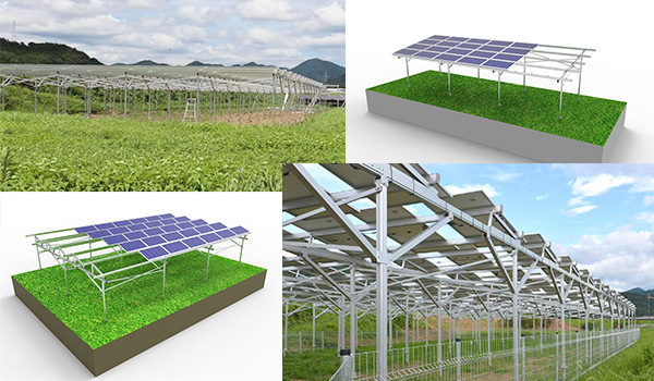 France defines standards for agrivoltaics - angelssolar