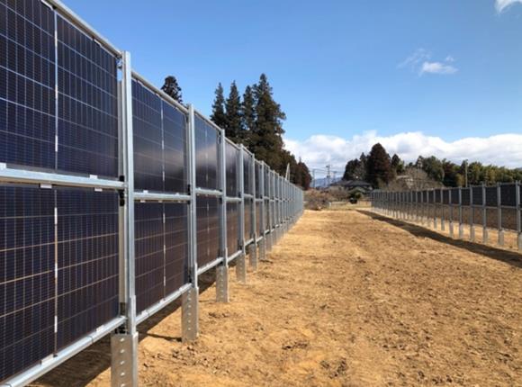 Japan’s first vertical agrivoltaic project - angelssolar