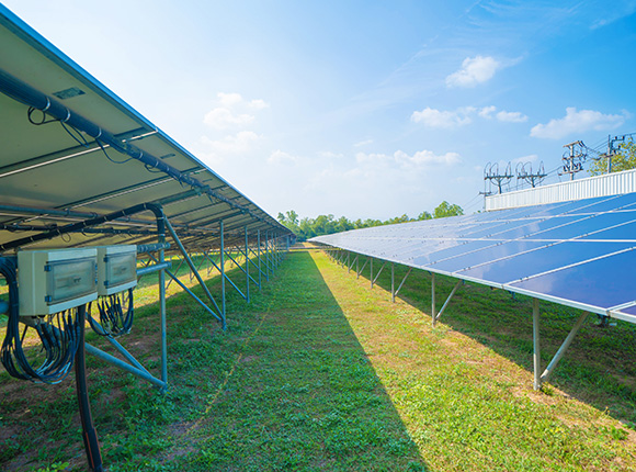 A single solar panel can offset the carbon emissions of 10 trees