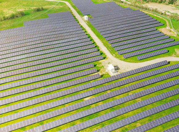 Growing crops at solar farms can enhance panel performance and longevity