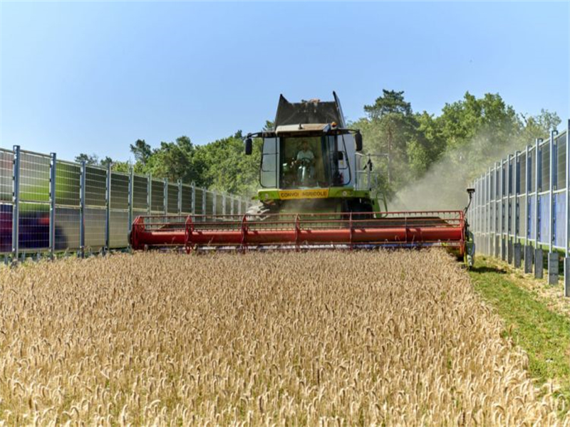 Embrace Solar Power Efficiency with Solar Vertical Mount - angelssolar