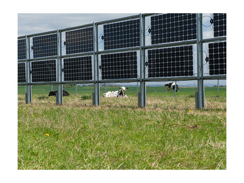 Introducing Vertical Structures: Unleashing Solar Power with Innovative ...